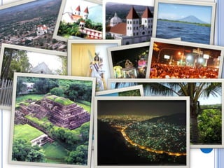 Last class taught | PPTX | Birds | Pets