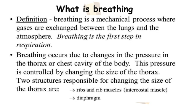 Respiratory system | PPT
