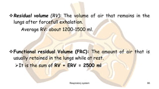 Respiratory system | PPT
