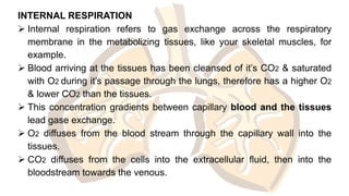 Respiratory system | PPT