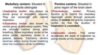 Respiratory system | PPT