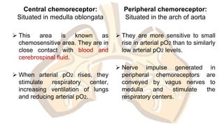 Respiratory system | PPT