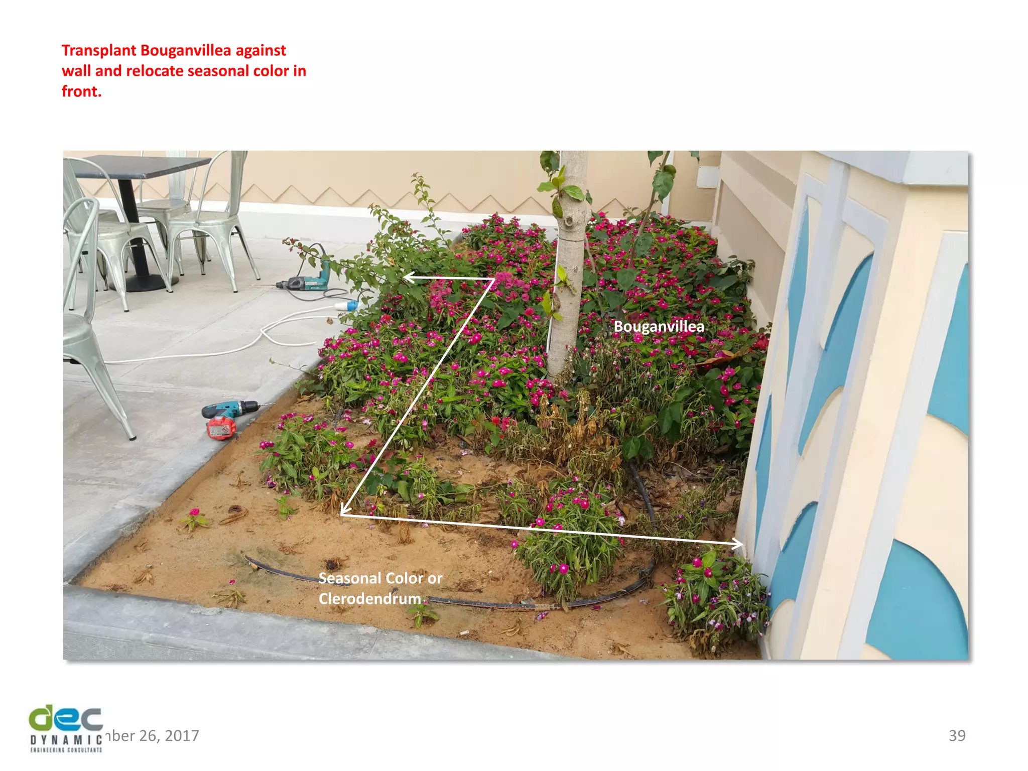 DPR Landscape Maintenance Guidelines | PDF