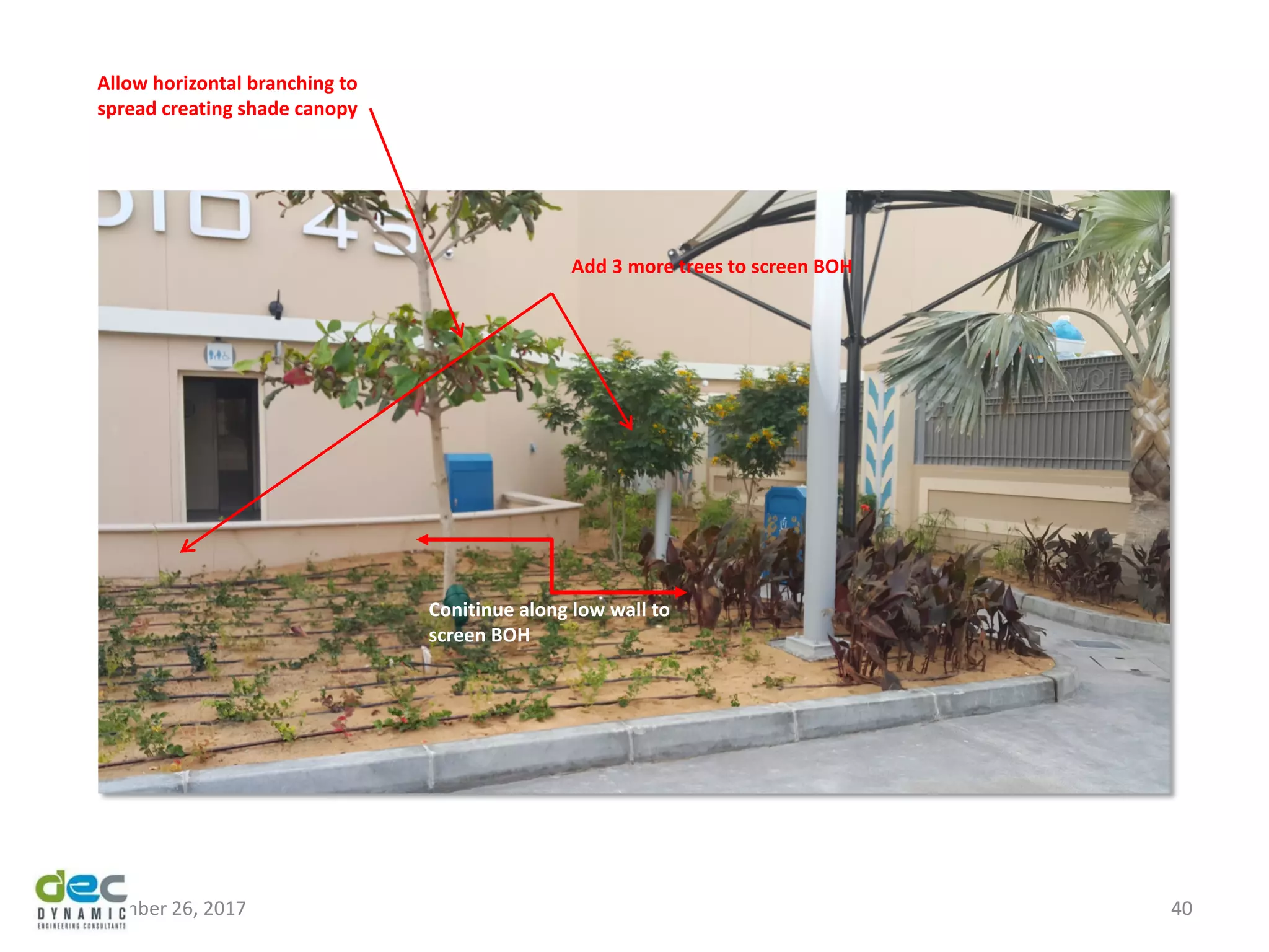 DPR Landscape Maintenance Guidelines | PDF