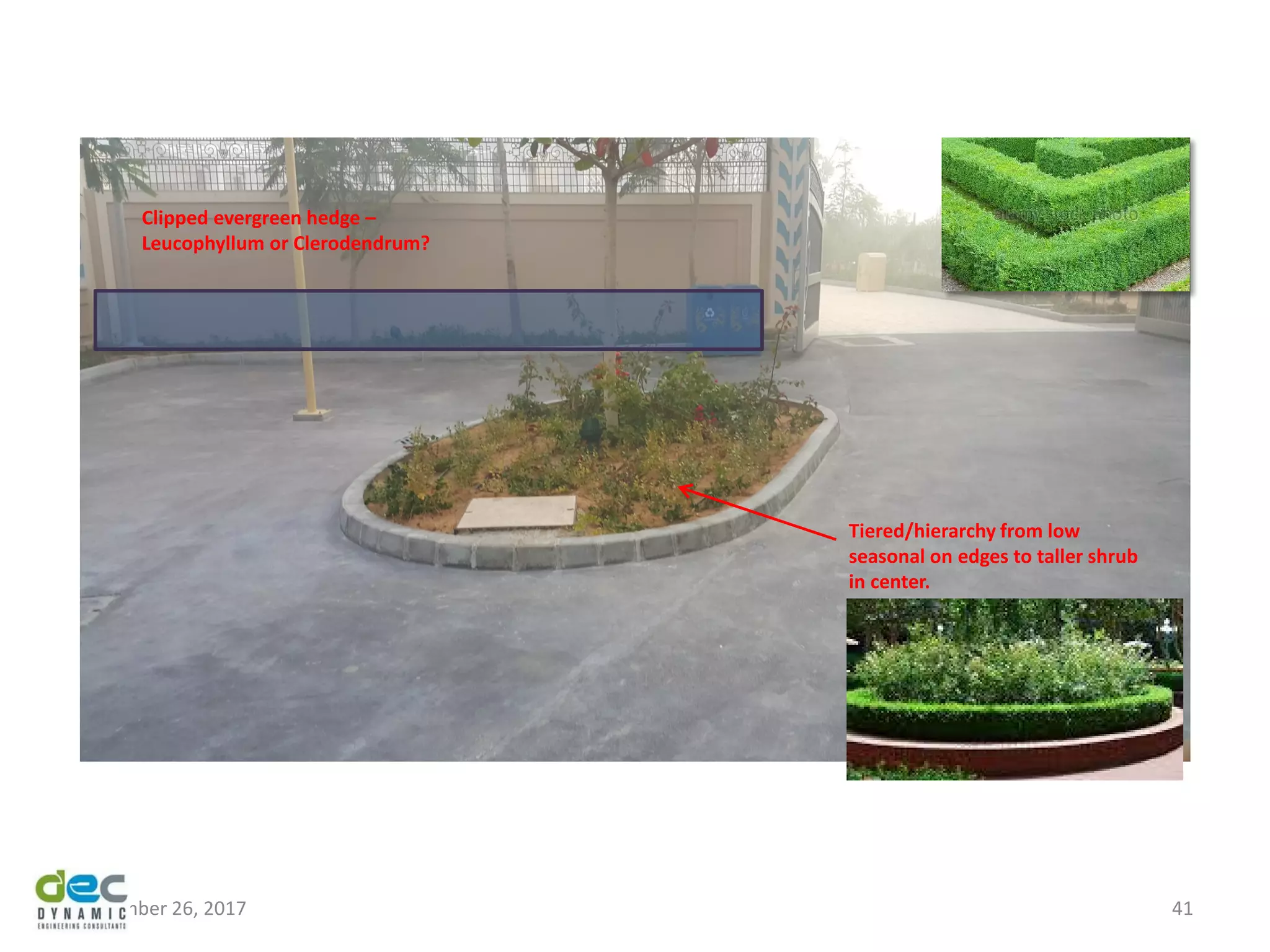 DPR Landscape Maintenance Guidelines | PDF