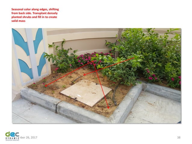 DPR Landscape Maintenance Guidelines | PDF