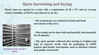 Detailed Project Report on Mass Production of White Muscardine Fungus ...