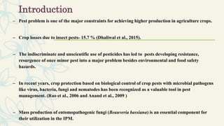 Detailed Project Report on Mass Production of White Muscardine Fungus | PPTX