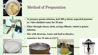 Detailed Project Report on Mass Production of White Muscardine Fungus ...