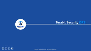 DDoS Protection System DPS | PDF