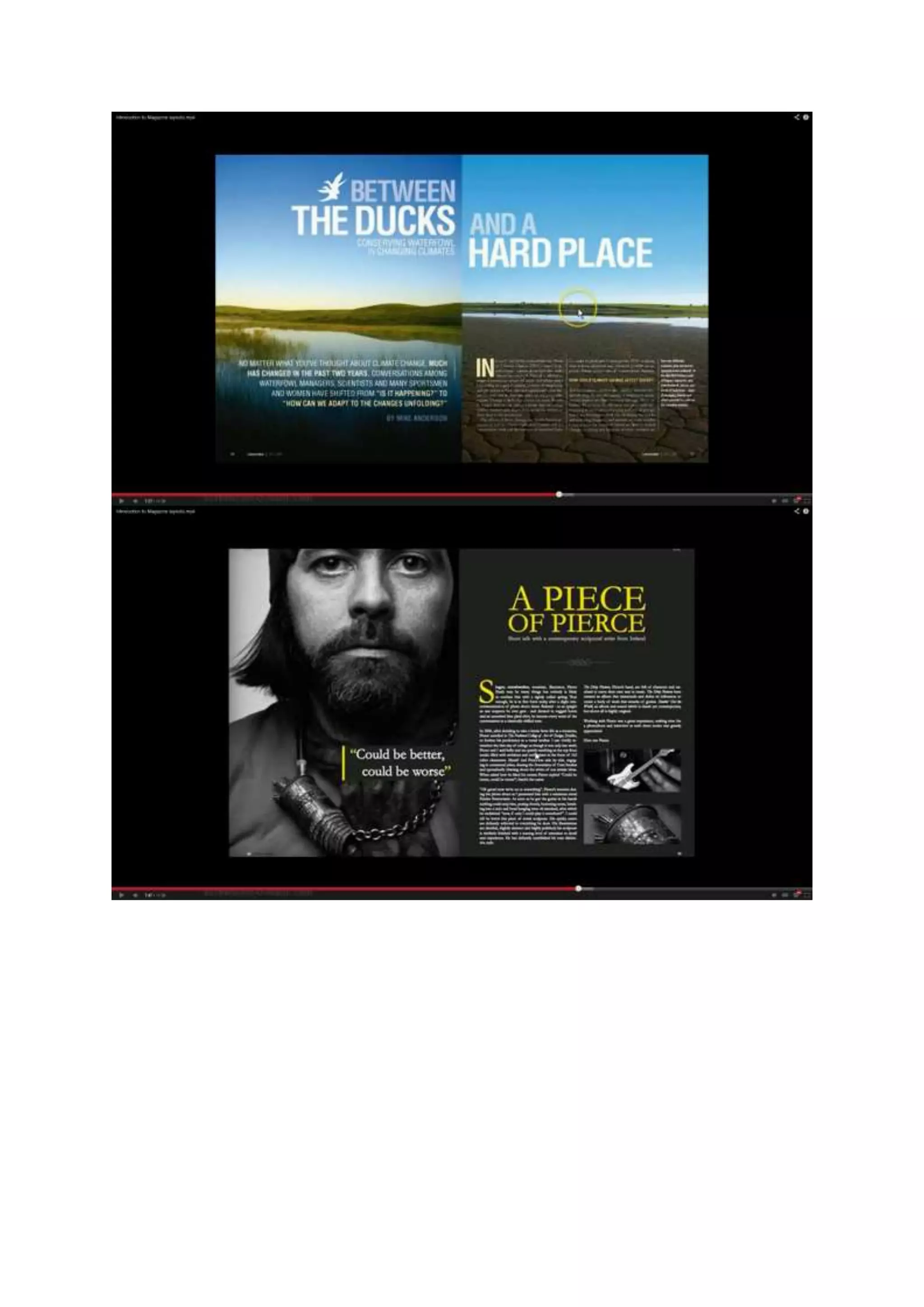 Dps examples | DOCX | Art and Photography | Books and Literature