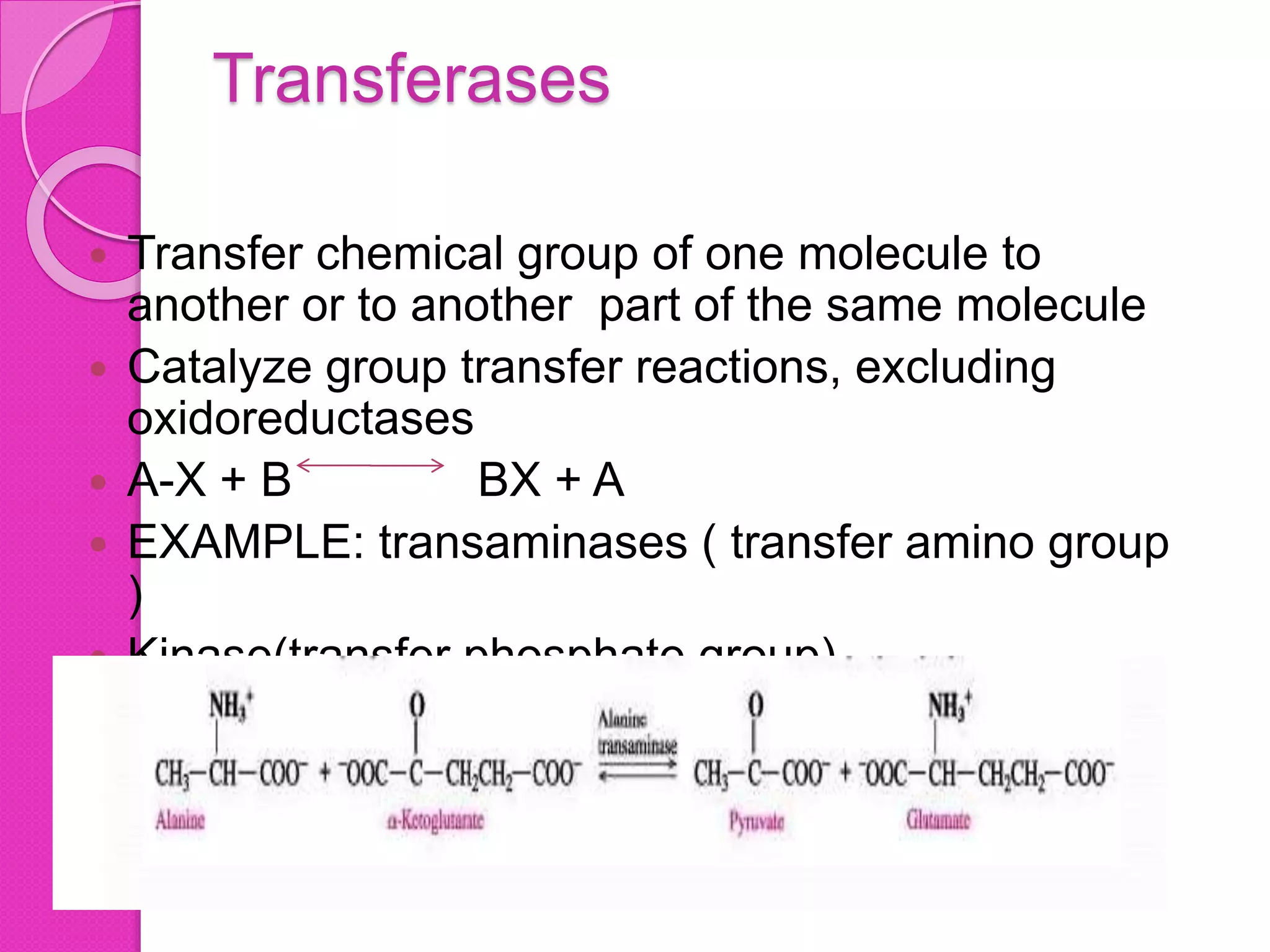 classifications and properties of enzymes | PPTX