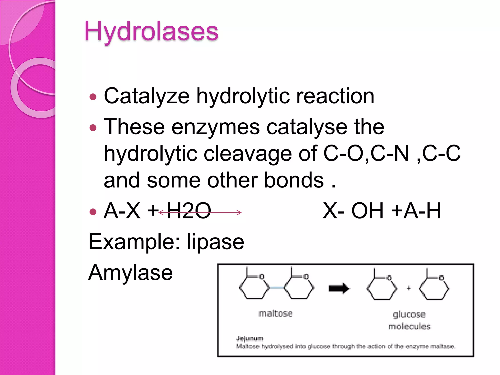 classifications and properties of enzymes | PPTX