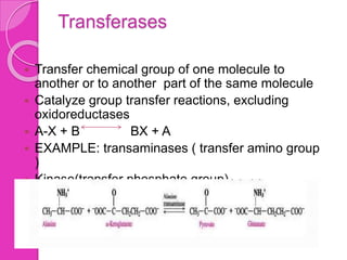 classifications and properties of enzymes | PPTX