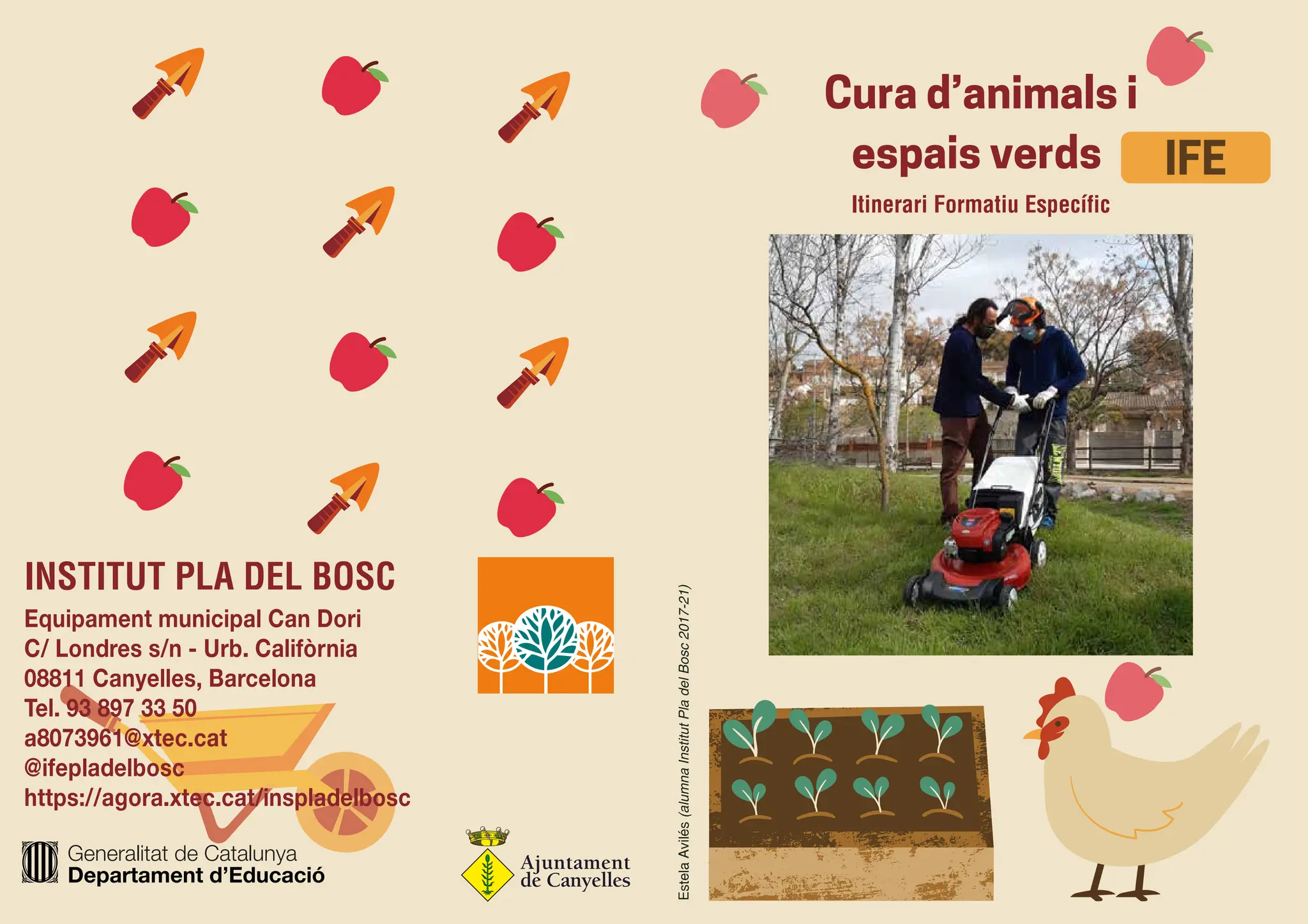 Díptic IFE (2) ifeifeifeife ife ife.pdf