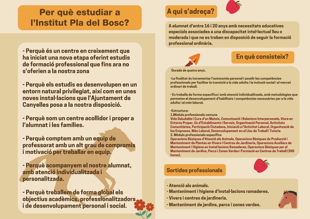 Díptic IFE (2) ifeifeifeife ife ife.pdf