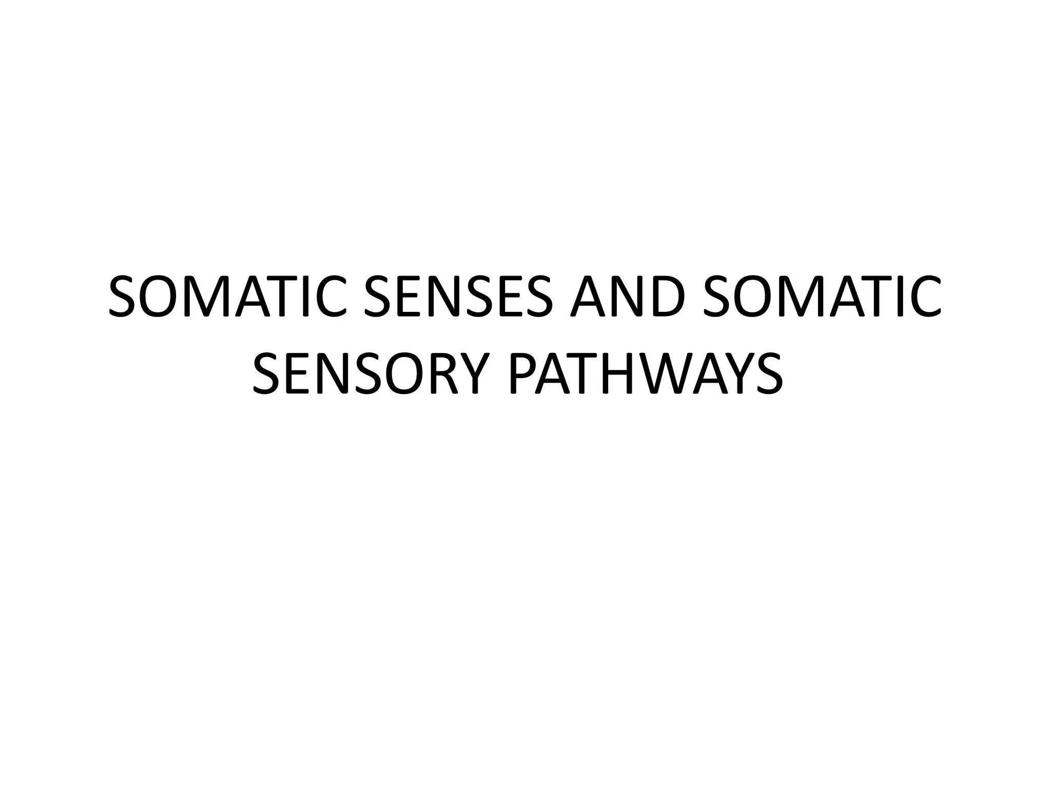 Dpt S-III-22 Somatic senses and somatic sensory pathways.pptx