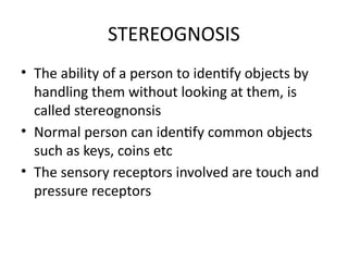 Dpt S-III-22 Somatic senses and somatic sensory pathways.pptx