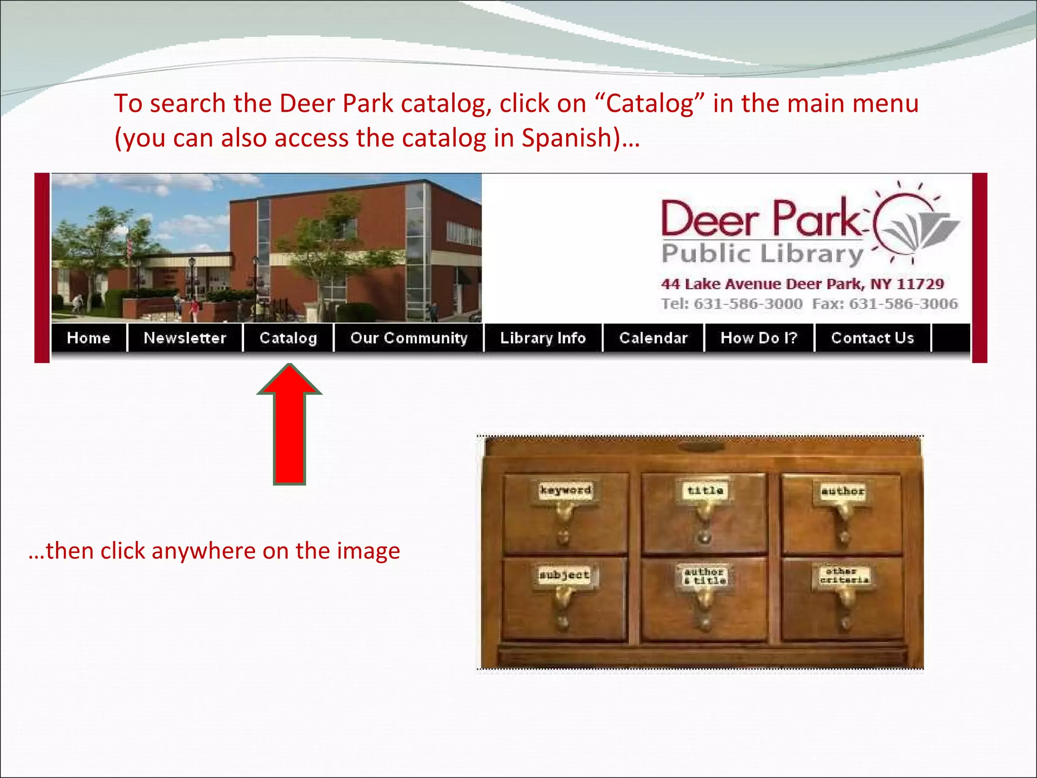 DP Website Tutorial | PPT | Free Download