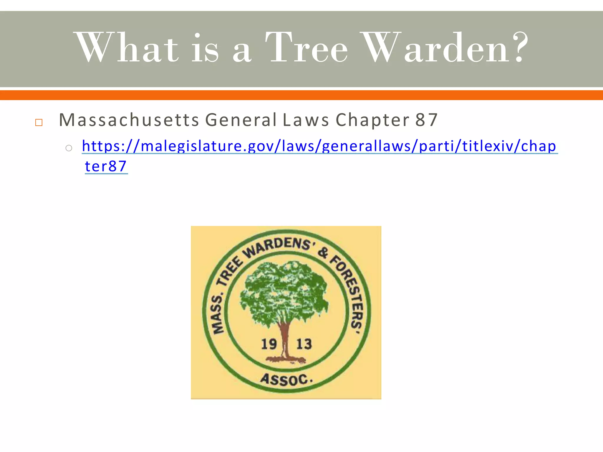 DPW Presentation: Tree Warden | PPT