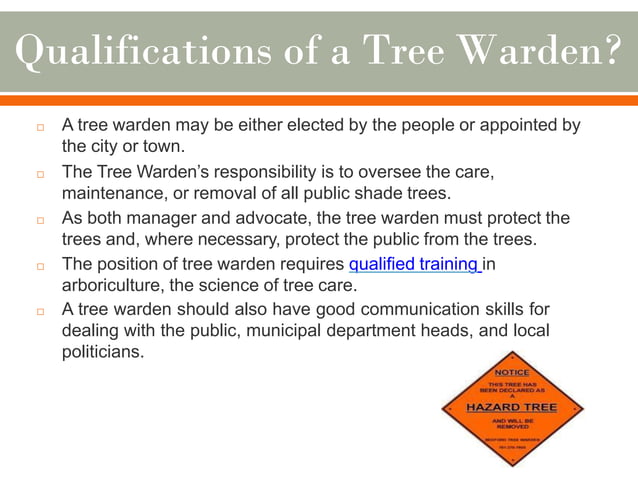 DPW Presentation: Tree Warden | PPT