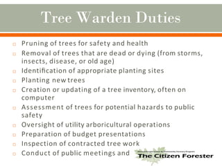 DPW Presentation: Tree Warden | PPT