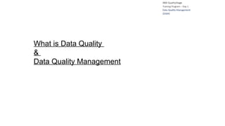 Data Quality Management & Approach & Implementation | PPTX | Databases | Computer Software and ...