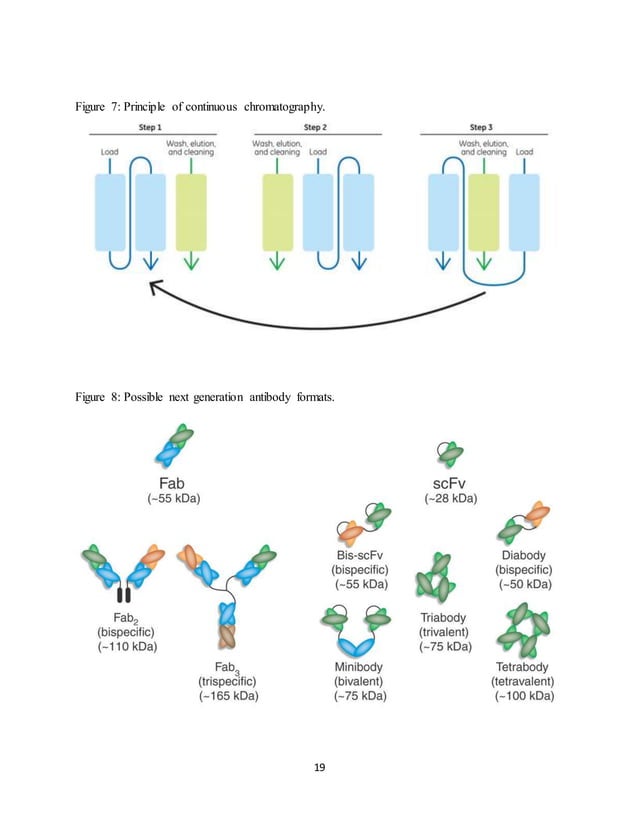 Evolution of mAb Downstream Platforms | PDF