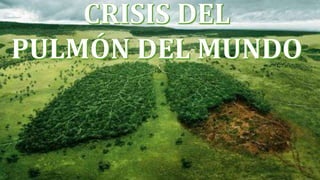 Pulmon del mundo (valery) | PPTX