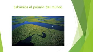 Pulmon del mundo (valery) | PPTX