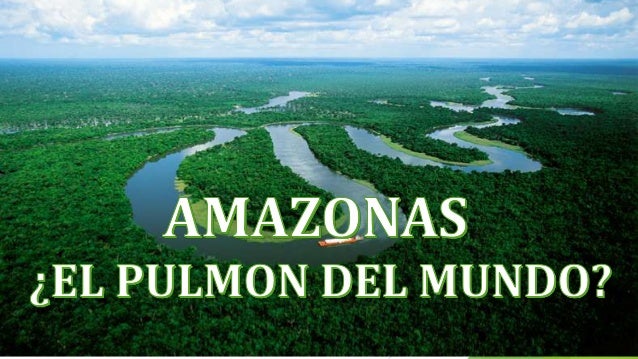 REGIÓN AMAZONAS