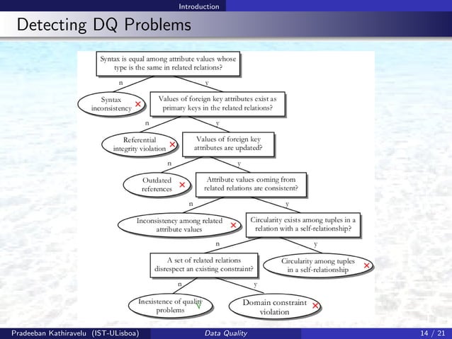 Introduction to Data Quality | PDF