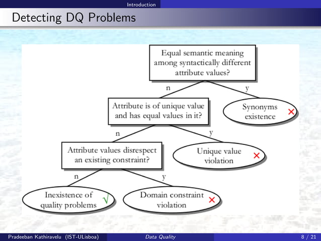 Introduction to Data Quality | PDF