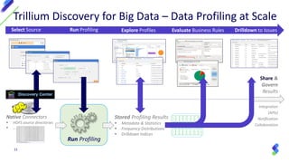 Introducing Trillium DQ for Big Data: Powerful Profiling and Data Quality for the Data Lake ...
