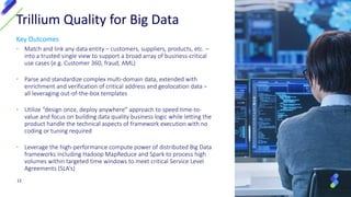 Introducing Trillium DQ for Big Data: Powerful Profiling and Data ...