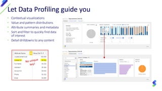 Data Profiling: The First Step to Big Data Quality | PDF