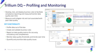 Data Quality in the Banking Industry: Turning Regulatory Compliance ...