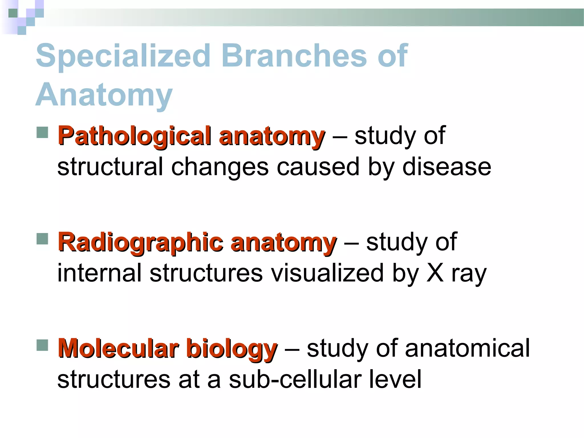 Introduction to Anatomy | PPT