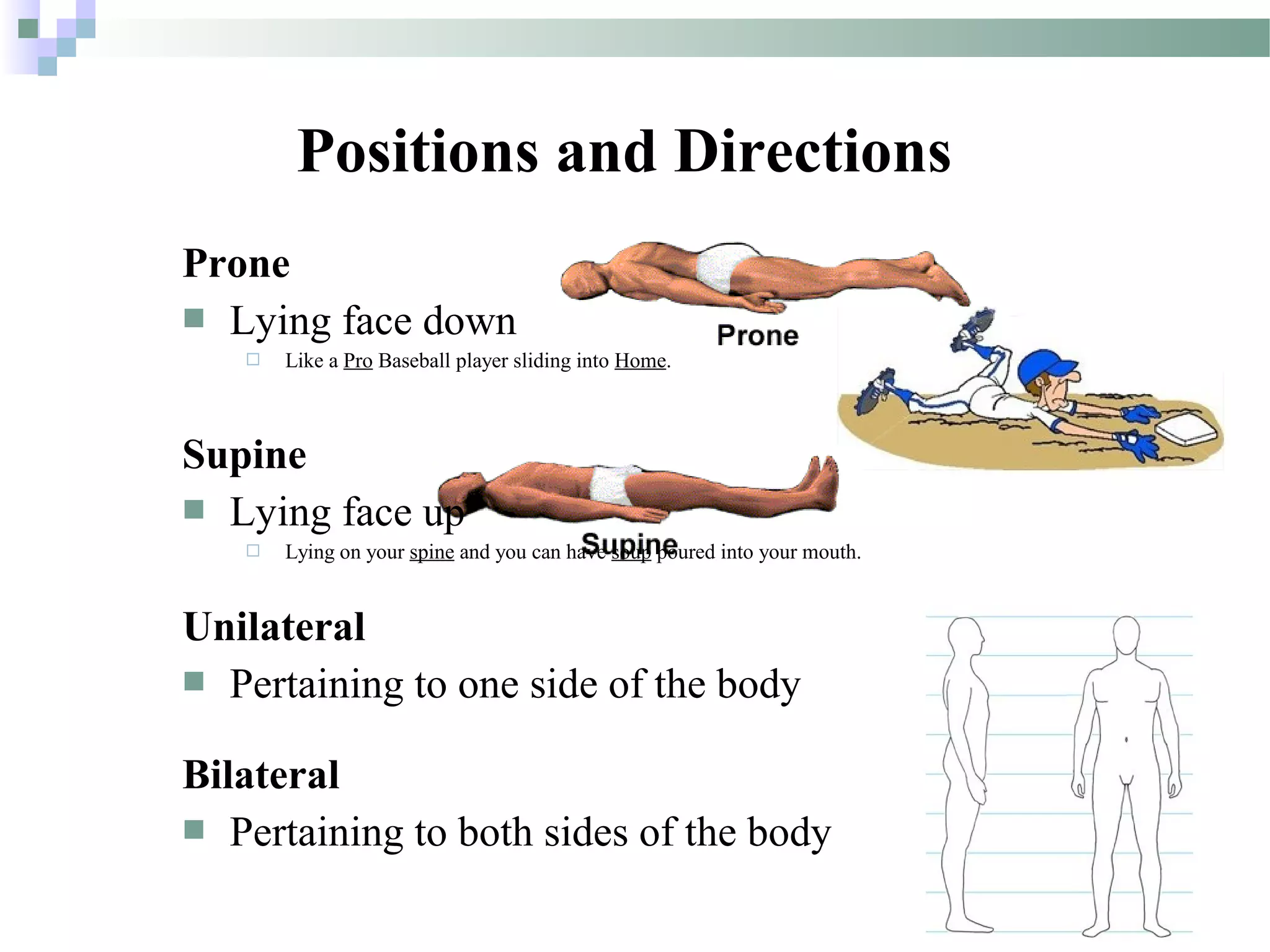 Introduction to Anatomy | PPT