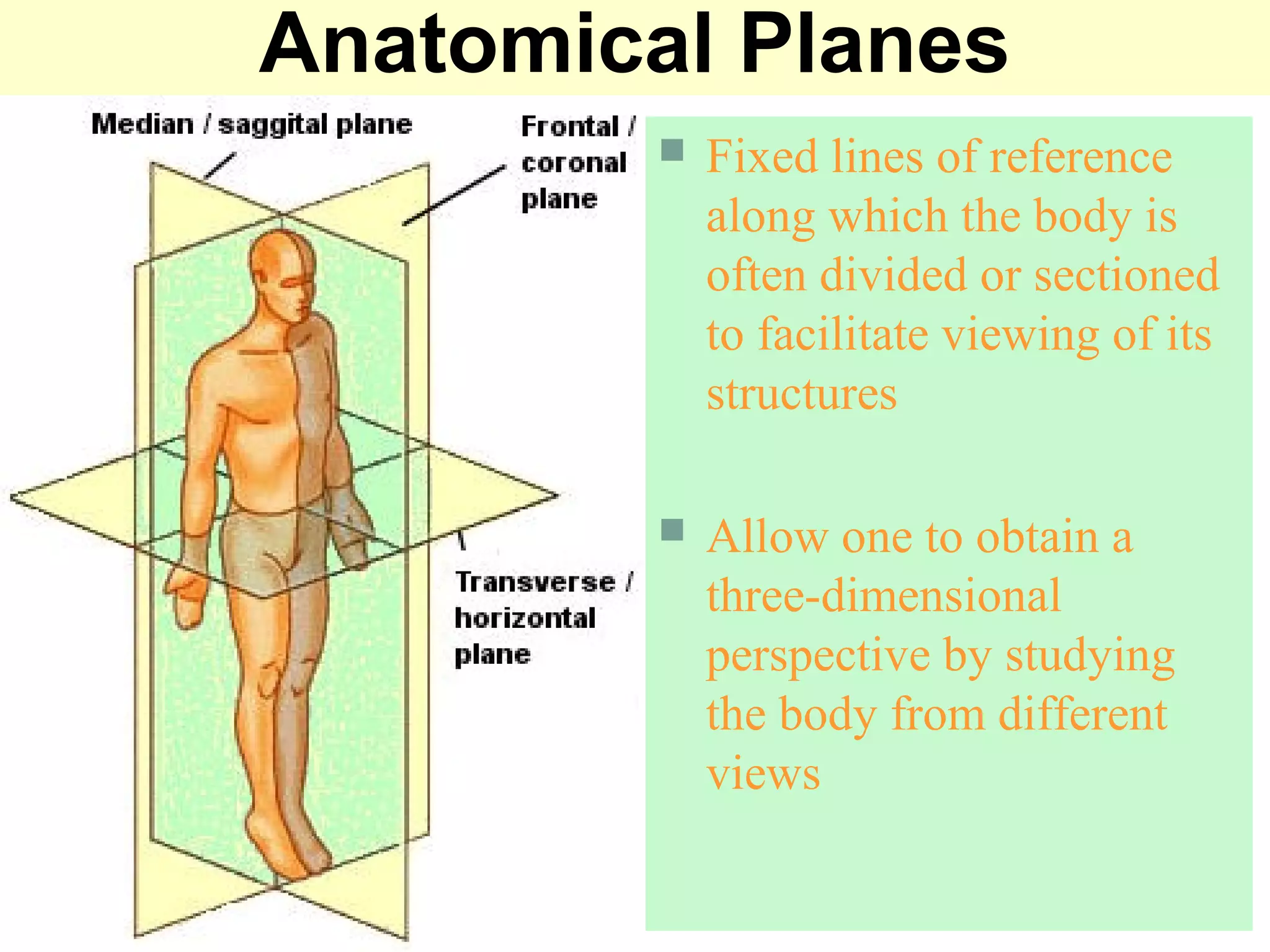Introduction to Anatomy | PPT