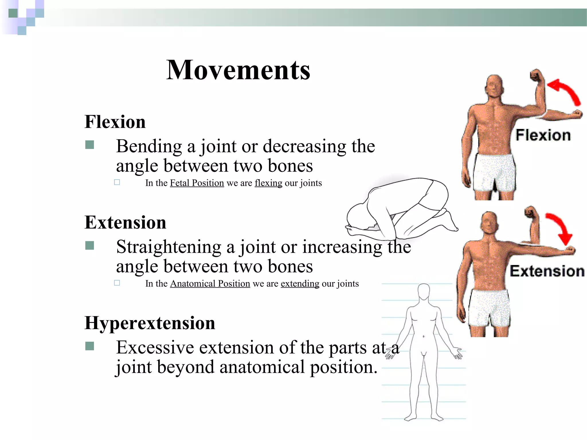 Introduction to Anatomy | PPT