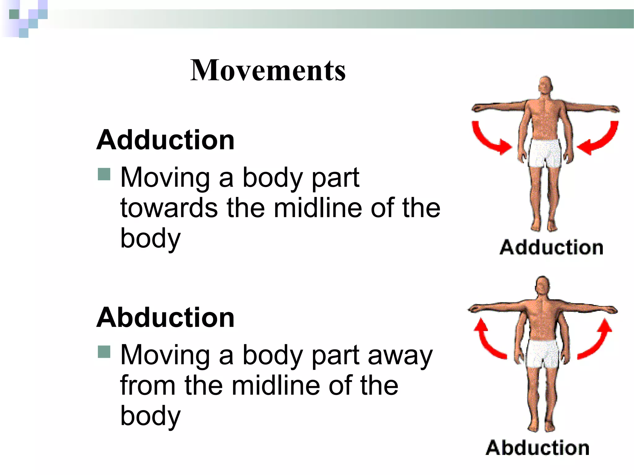 Introduction to Anatomy | PPT