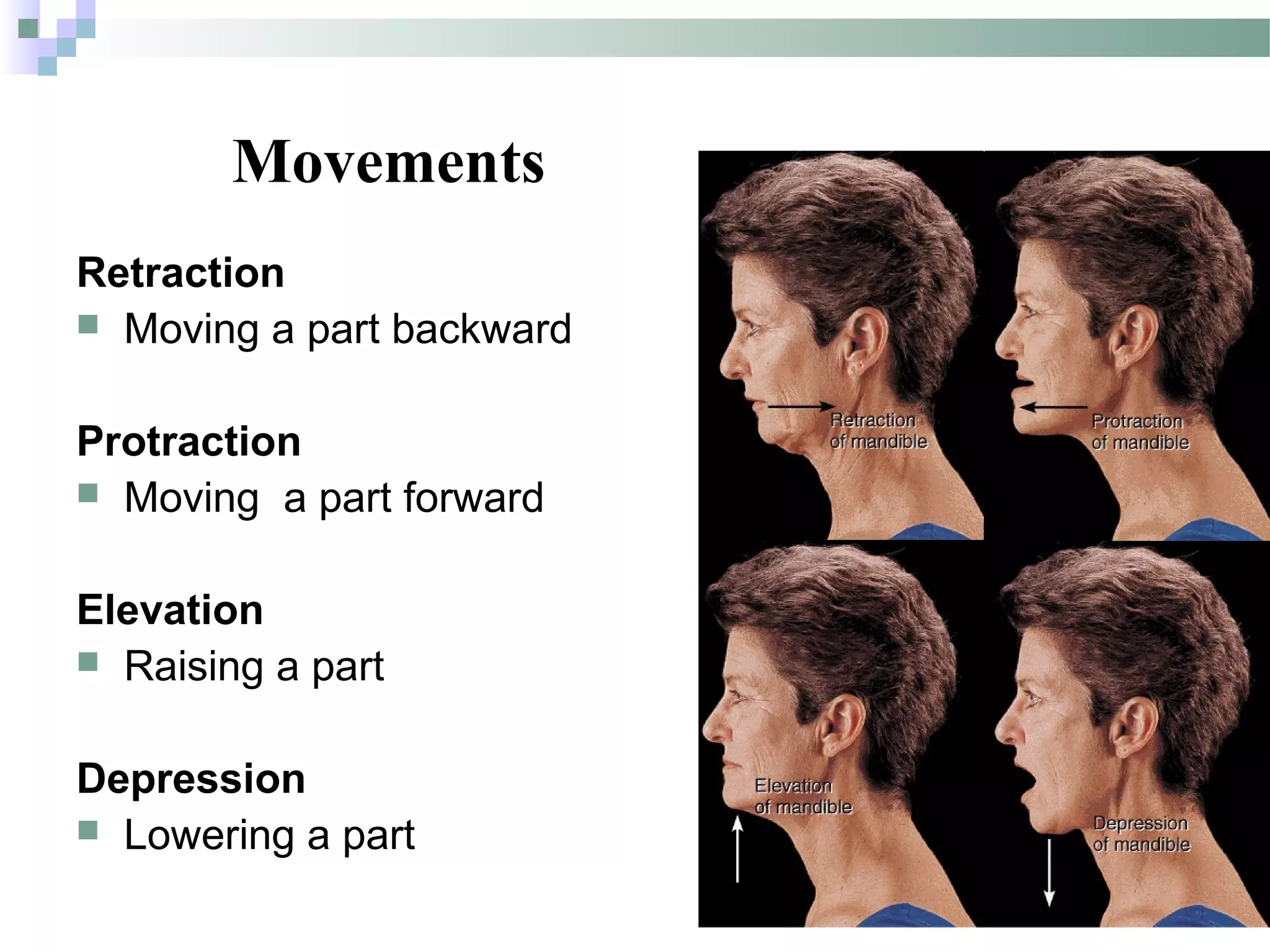 Introduction to Anatomy | PPT