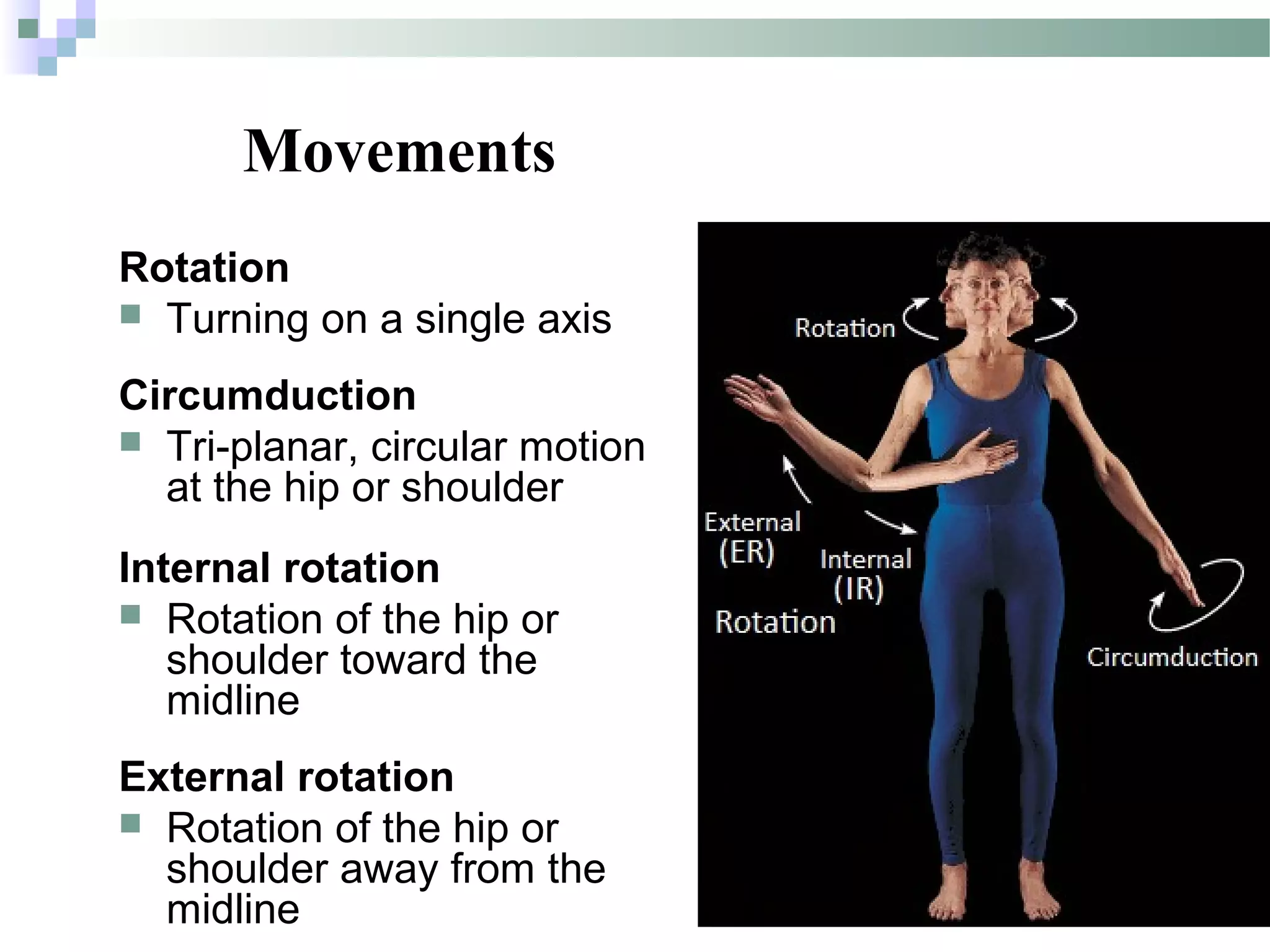 Introduction to Anatomy | PPT