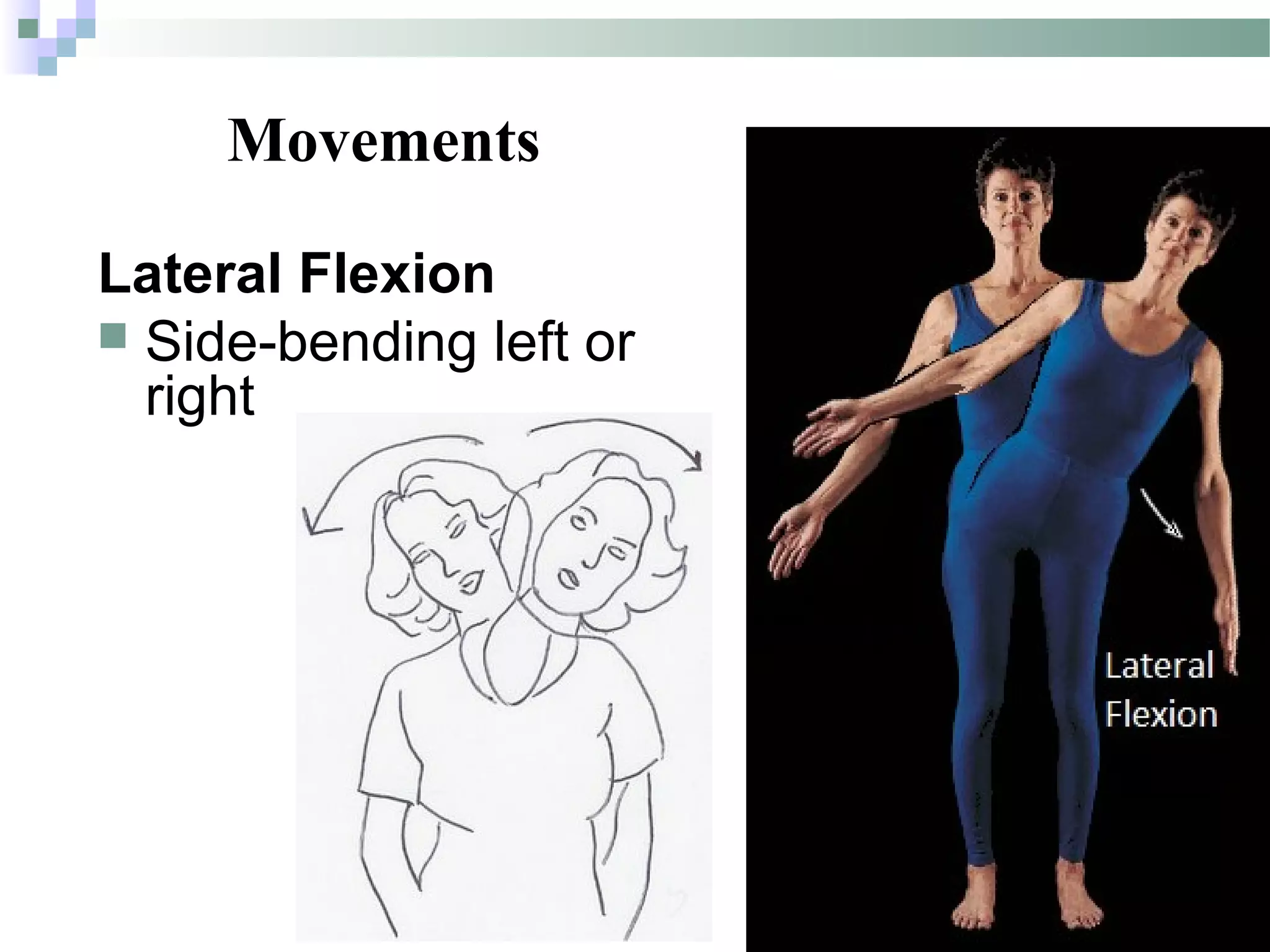 Introduction to Anatomy | PPT