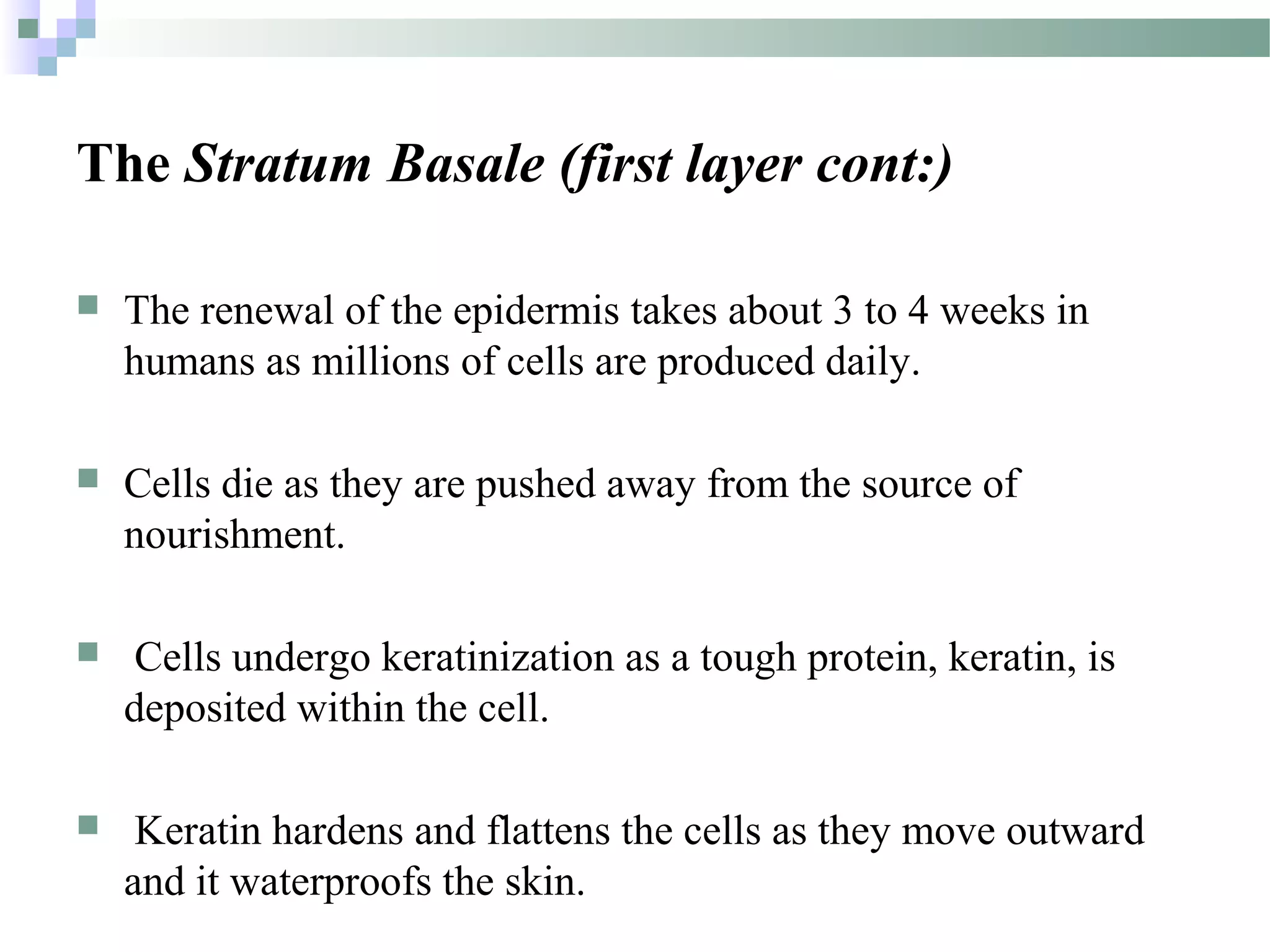 Introduction to Anatomy | PPT
