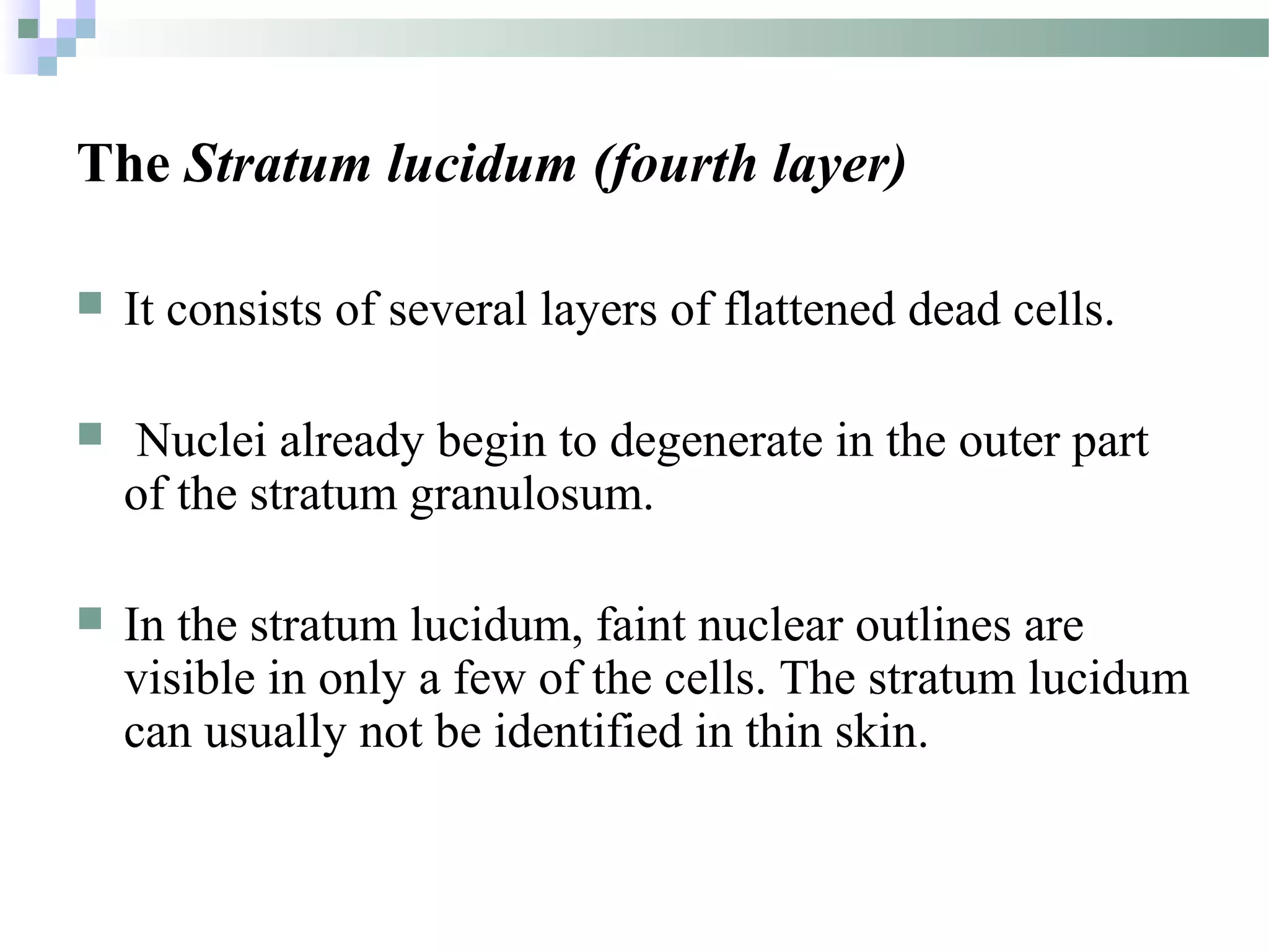 Introduction to Anatomy | PPT