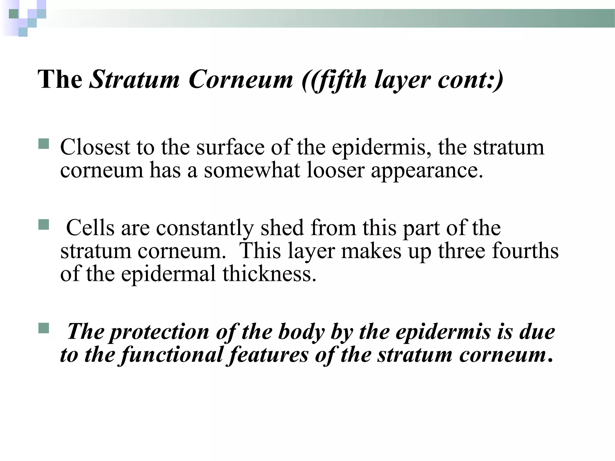 Introduction to Anatomy | PPT