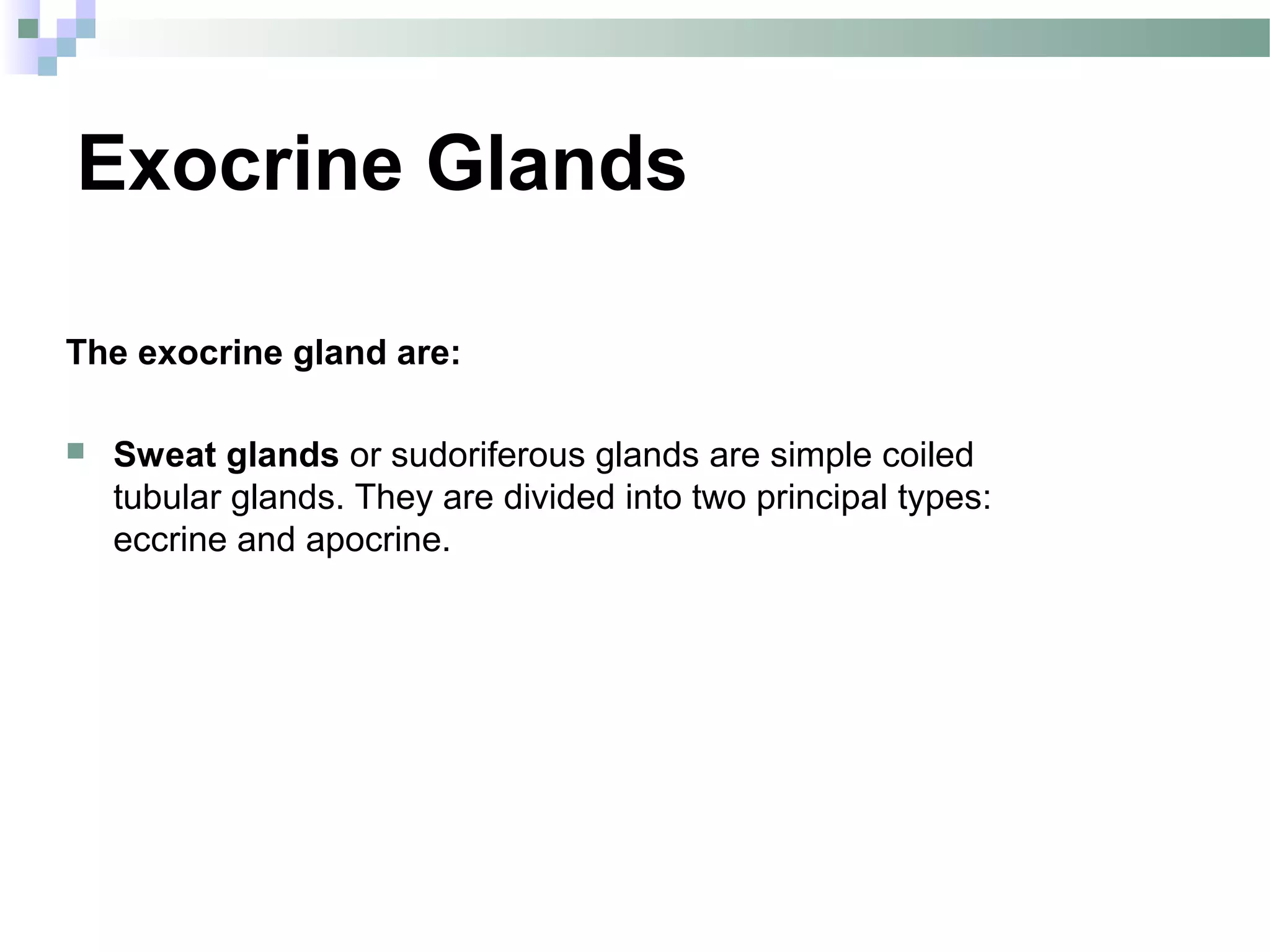 Introduction to Anatomy | PPT