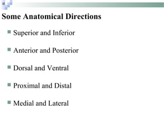 Introduction to Anatomy | PPT